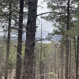 Gold Digger Trail to Two Spot Trail Loop, Arizona - 195 Reviews, Map ...