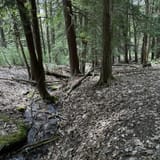 Morrison and Rimrock Trail Loop, Pennsylvania - 441 Reviews, Map ...