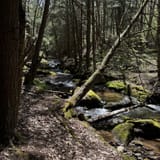 Morrison and Rimrock Trail Loop, Pennsylvania - 430 Reviews, Map ...