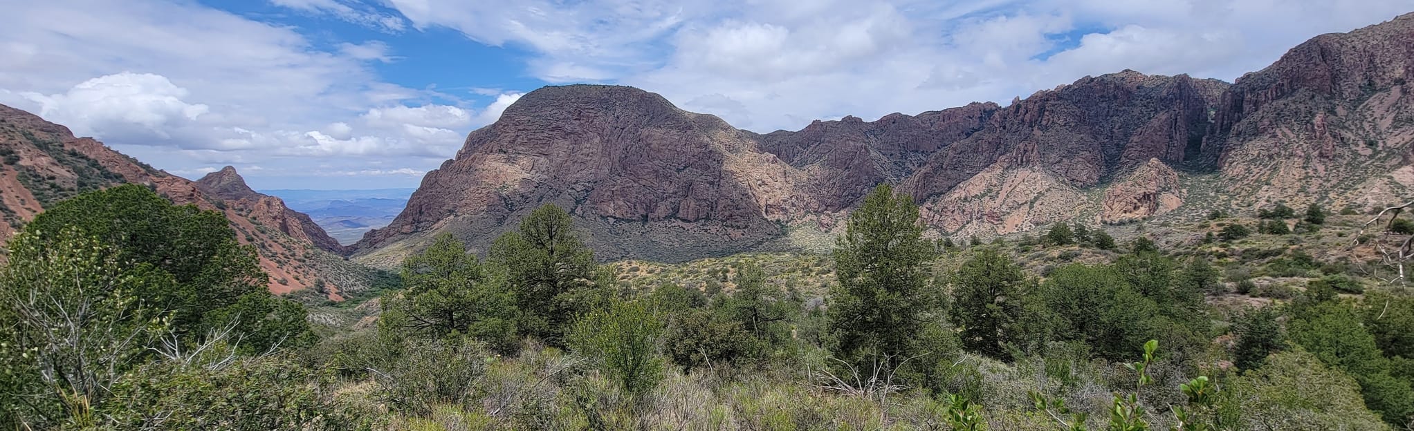 Emory Peak - Northeast Rim - South Rim Loop: 214 Reviews, Map - Texas ...