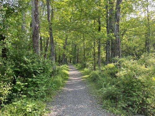 Best Hikes and Trails in Speedwell Park | AllTrails