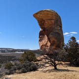 Miracle Rock Trail, Colorado - 39 Reviews, Map | AllTrails