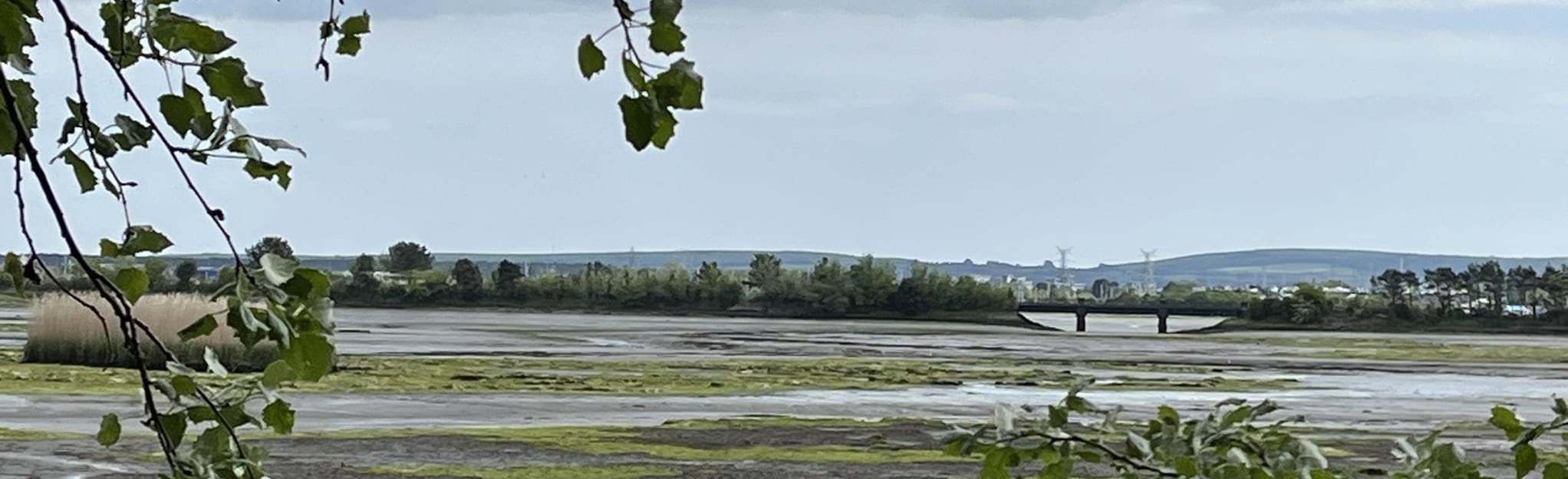 Bear Cross to Poole via Upton Country Park, Dorset, England - Map ...