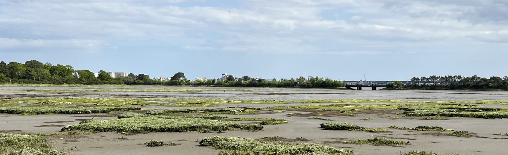 Upton Heath & Poole Harbour Circular, Dorset, England - 7 Reviews, Map ...