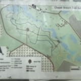 Chapel Branch Nature Loop, Delaware - 228 Reviews, Map | AllTrails