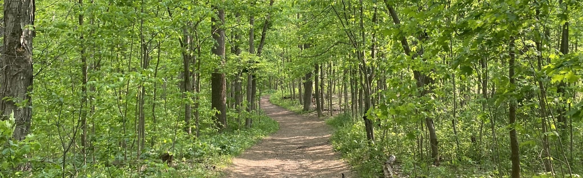 Maybury State Park West Loop: 391 Reviews, Map - Michigan | AllTrails