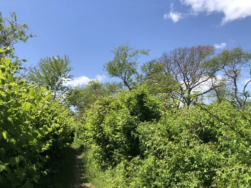 Best Hikes and Trails in Wylde Reserve | AllTrails