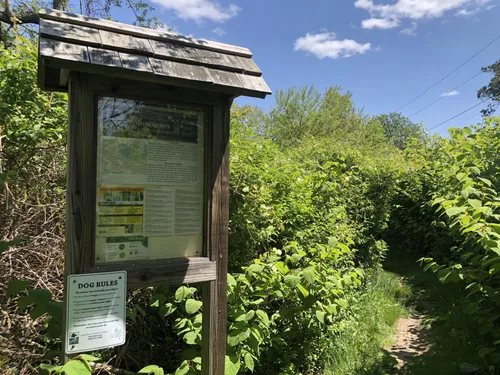 Best Hikes and Trails in Wylde Reserve | AllTrails