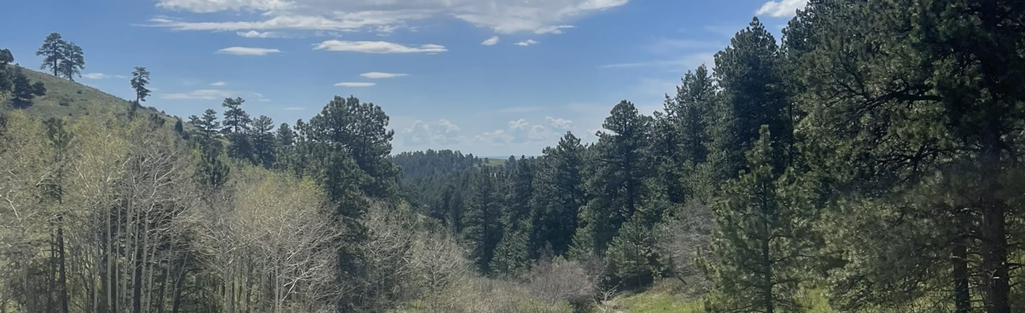 Apex Trail to Enchanted Forest Trail Loop: 1649 Reviews, Map - Colorado ...