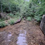 Blowing Springs Park Extended Loop, Arkansas - 1,476 Reviews, Map ...