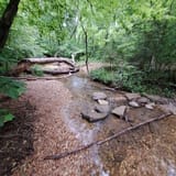 Blowing Springs Park Extended Loop, Arkansas - 1,476 Reviews, Map ...