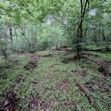 Blowing Springs Park Extended Loop, Arkansas - 1,476 Reviews, Map ...