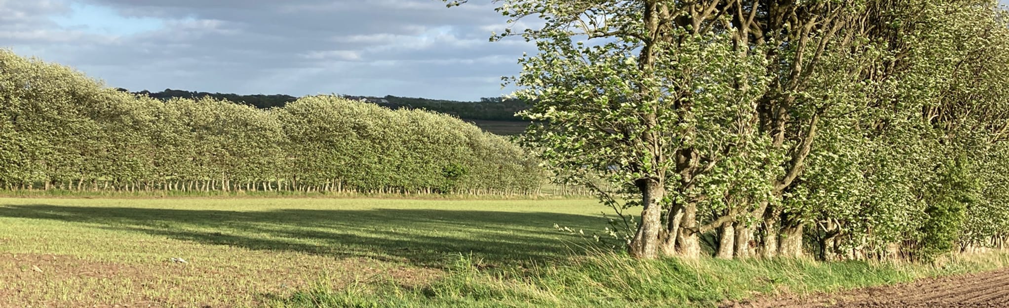 Aars - Himmerlandsstien, North Denmark, Denmark - 13 Reviews, Map ...