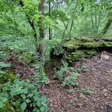 Blowing Springs Park Extended Loop, Arkansas - 1,476 Reviews, Map ...