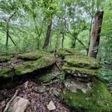 Blowing Springs Park Extended Loop, Arkansas - 1,476 Reviews, Map ...