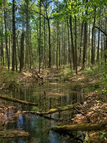 Best Hikes and Trails in Winding Trails Camp | AllTrails