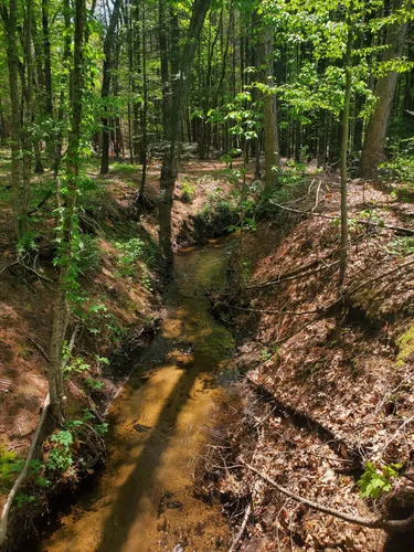 Best Hikes and Trails in Winding Trails Camp | AllTrails