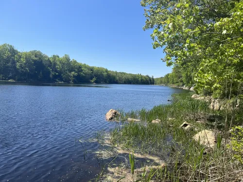 2023 Best Wild Flowers Trails in Hardyston | AllTrails