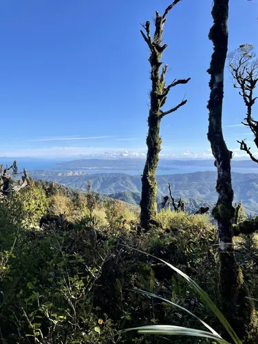10 Best Forest Trails in Remutaka Forest Park | AllTrails