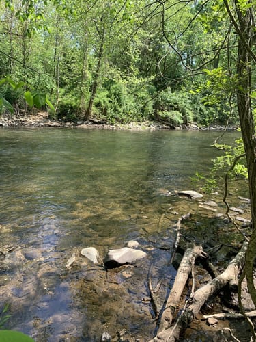 Best Hikes and Trails in Cascade Valley Park | AllTrails