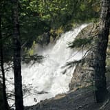 Dosewallips River Road Trail, Washington - 503 Reviews, Map | AllTrails
