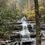 Coleman River Trail, Georgia - 138 Reviews, Map | AllTrails