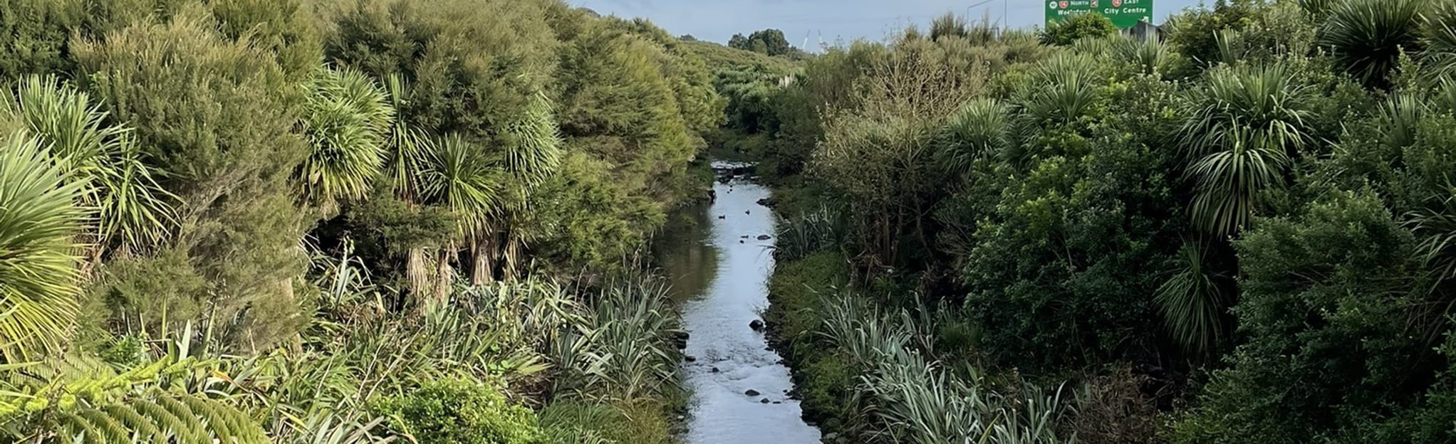 Waterview Path: 57 Reviews, Map - Auckland, New Zealand | AllTrails