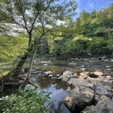Cabelands Trail To Eno Quarry Trail, North Carolina - 1,056 Reviews ...