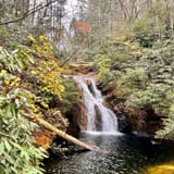 Coleman River Trail, Georgia - 138 Reviews, Map | AllTrails