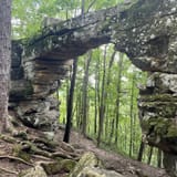 Sewanee Natural Bridge, Tennessee - 209 Reviews, Map | AllTrails