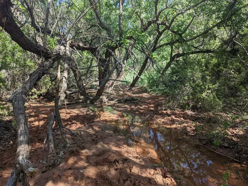 Best Hikes And Trails In Dickens County Spring Park Alltrails