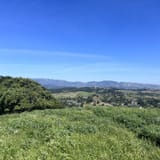 Timberhill Park Trail, California - 228 Reviews, Map | AllTrails