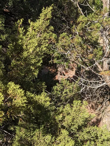 Best Hikes and Trails in Dickens County Spring Park | AllTrails