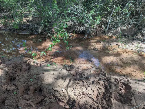 Best Hikes and Trails in Dickens County Spring Park | AllTrails