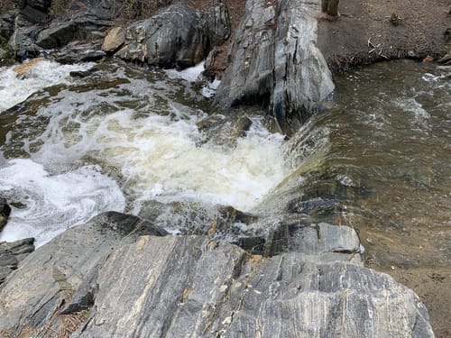 2023 Best Forest Trails in Genesee Park | AllTrails