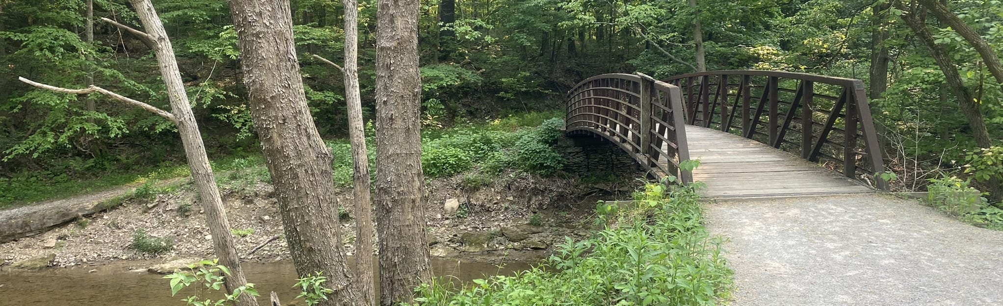 Duff Park Outer Loop: 414 Reviews, Map - Pennsylvania | AllTrails