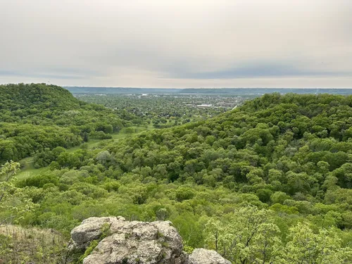 10 Best Hikes and Trails in Hixon Forest | AllTrails