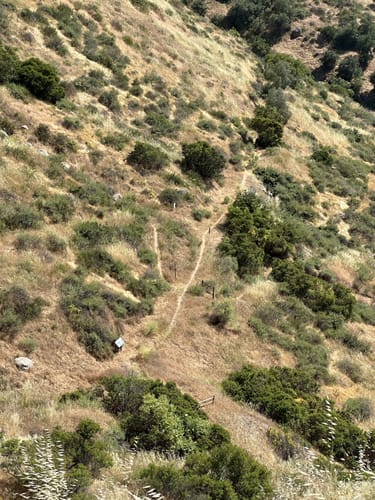 Best Hikes and Trails in El Monte County Park | AllTrails