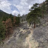 Ben Tyler Trail, Colorado - 585 Reviews, Map | AllTrails