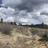 Ben Tyler Trail, Colorado - 585 Reviews, Map | AllTrails