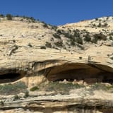 Butler Wash Interpretive Trail, Utah - 278 Reviews, Map | AllTrails
