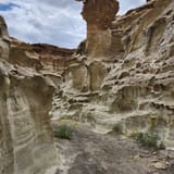 Wiregrass Canyon, Utah - 159 Reviews, Map | AllTrails