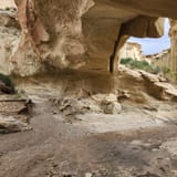 Wiregrass Canyon, Utah - 159 Reviews, Map | AllTrails