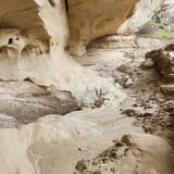 Wiregrass Canyon, Utah - 159 Reviews, Map | AllTrails