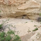 Wiregrass Canyon, Utah - 159 Reviews, Map | AllTrails