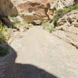 Wiregrass Canyon, Utah - 159 Reviews, Map | AllTrails