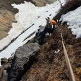 Skookum Volcano Trail, Alaska - 68 Reviews, Map | AllTrails