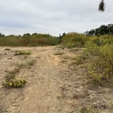 Rice Canyon Trail, California - 930 Reviews, Map | AllTrails