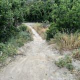 Rice Canyon Trail, California - 930 Reviews, Map | AllTrails