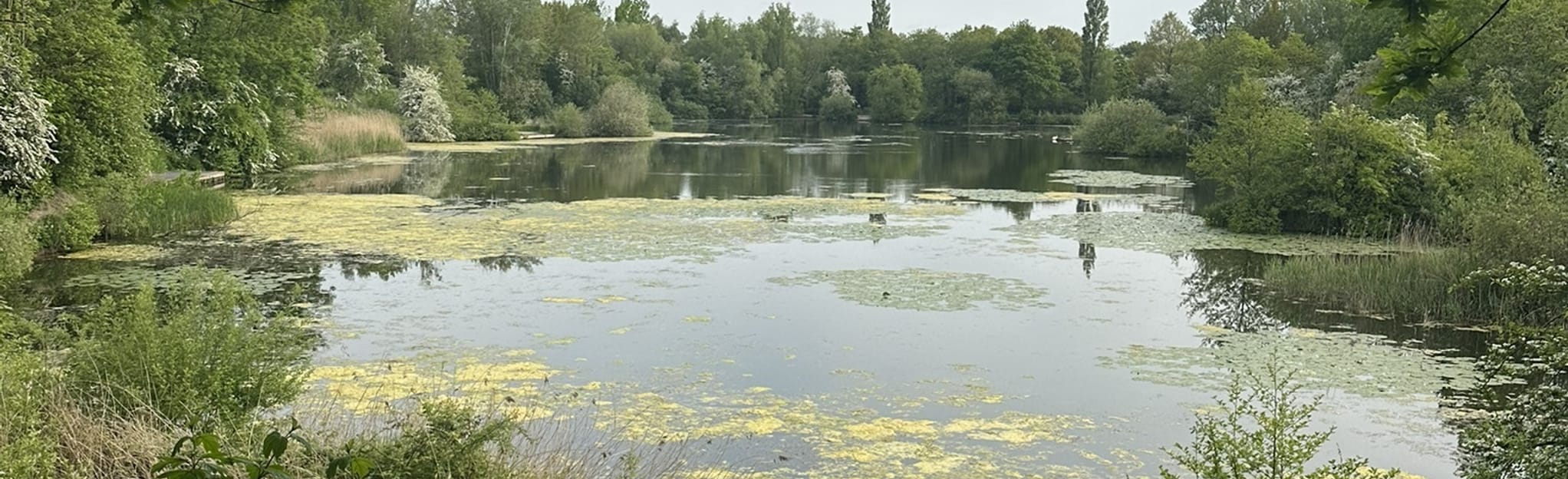 Longton East and West Circular: 2 Reviews, Map - Lancashire, England ...